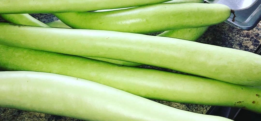 How To Cook With Cucuzza | Ditalia Fine Italian Imports – Ditalia ...