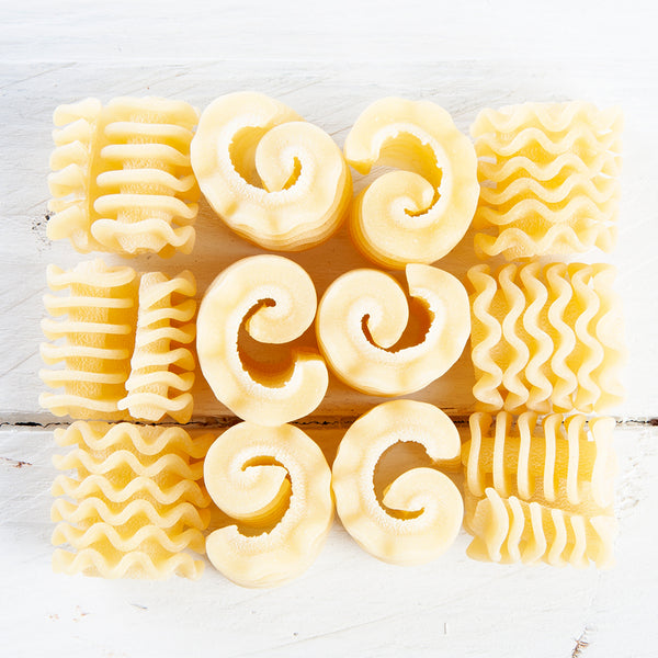 Bottega Ditalia Spugnole Organic Pasta by Marella | Ditalia Foods