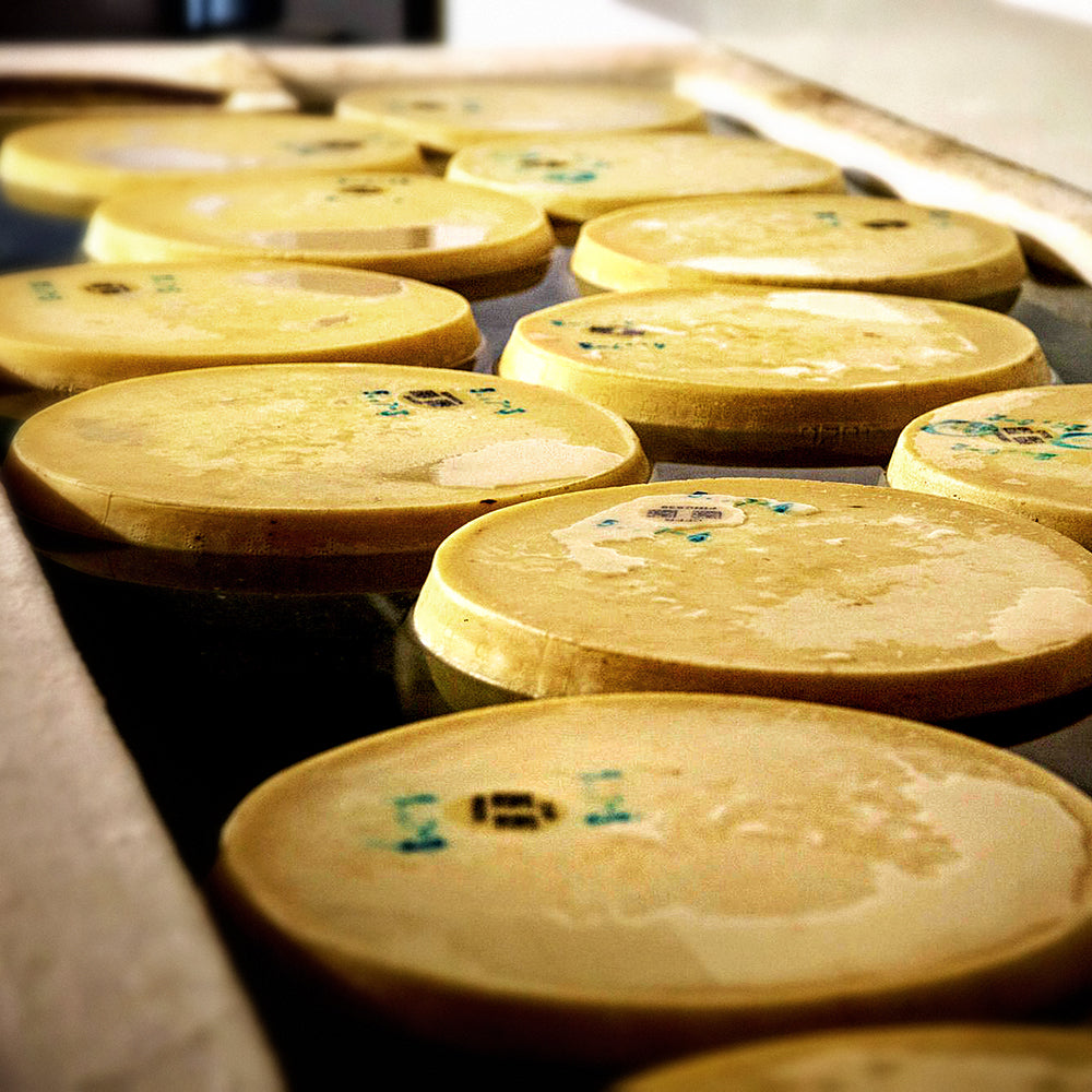 Bianco Modenese (White Cow) Parmigiano Reggiano DOP | Ditalia – Ditalia ...